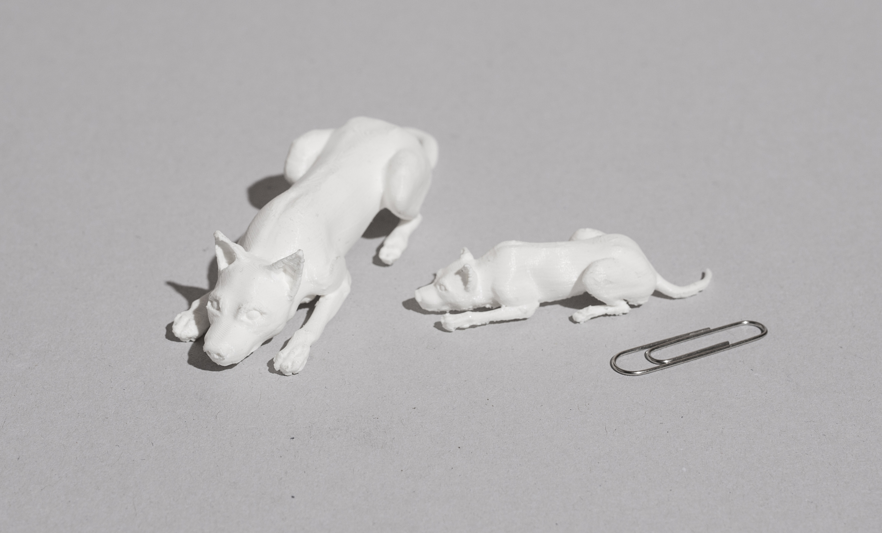 Gava Hund.Mini dogs printed